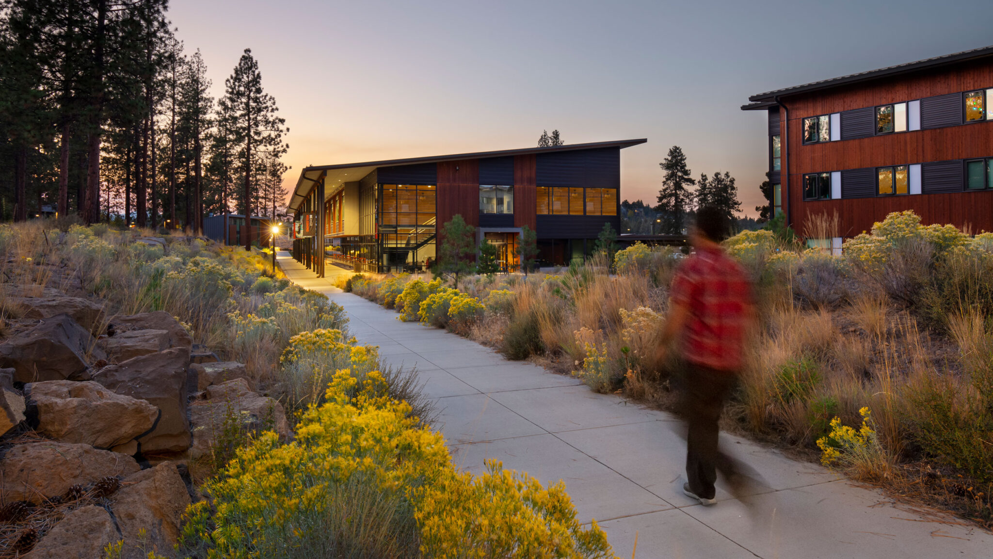 Projects – Walker Macy